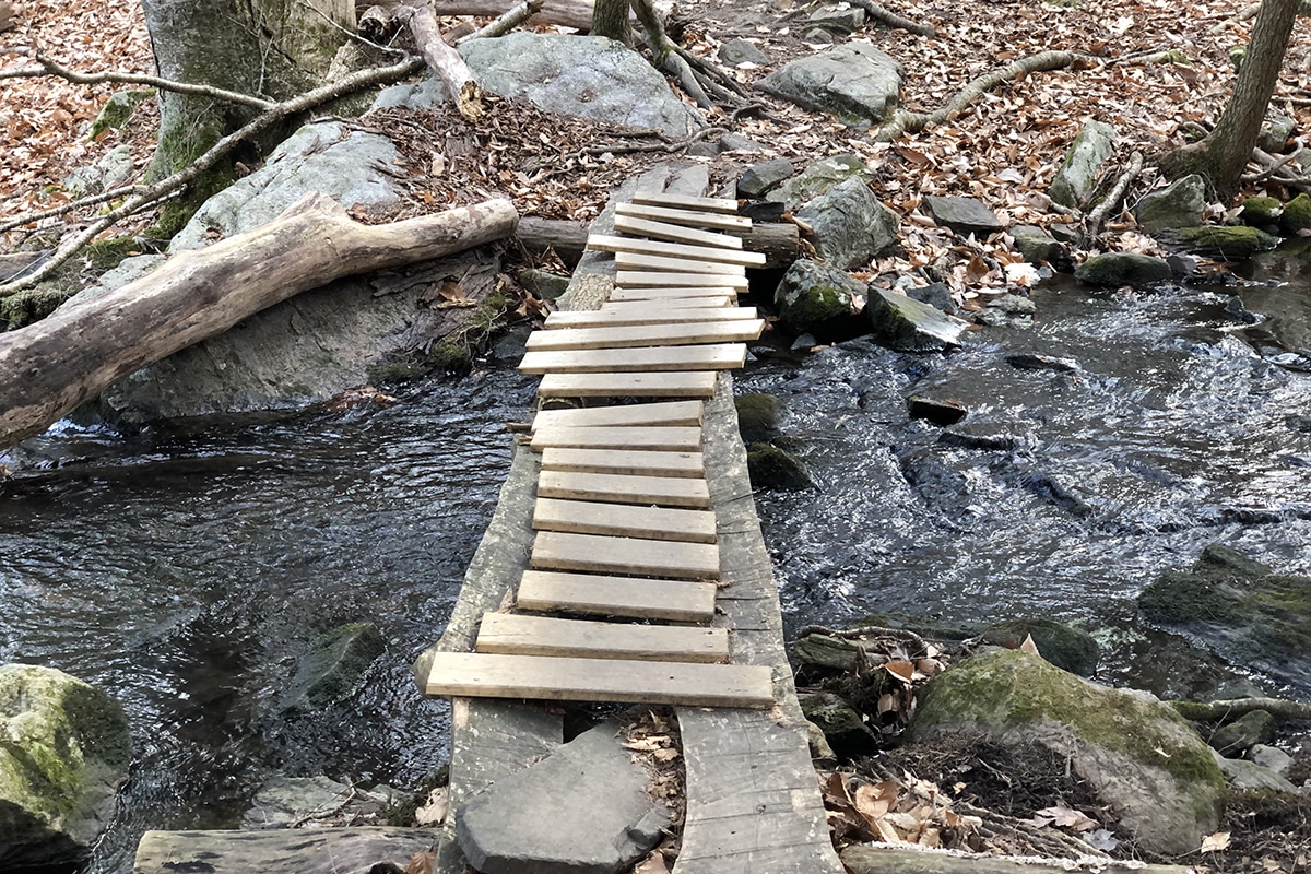 Day Hike on the Zoar Trail | Average Hiker